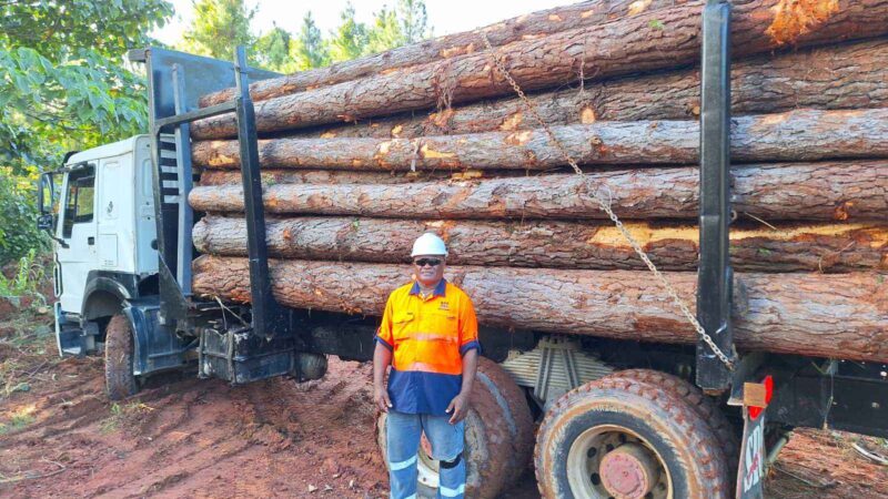 Forest Logging - iTaukei Land Trust Board (TLTB)